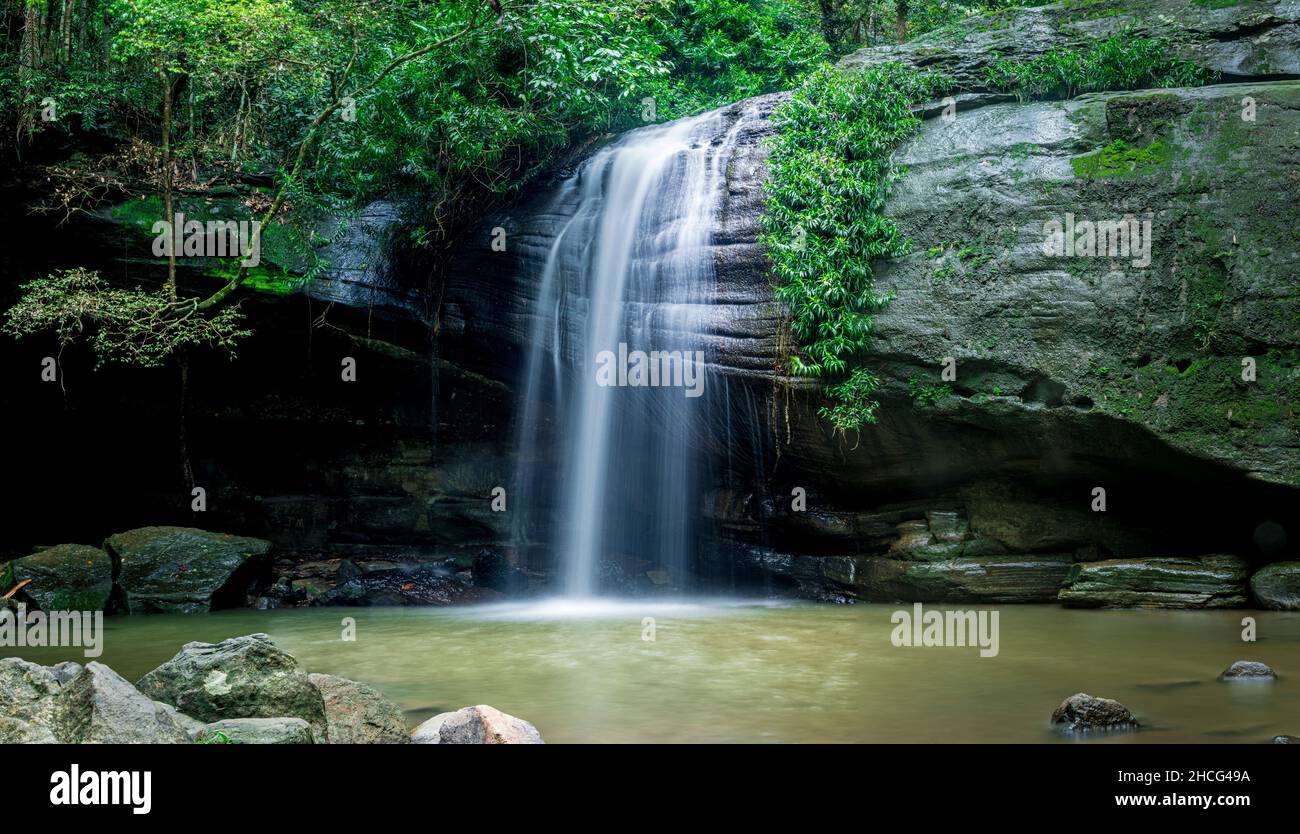 Buderim Falls, also known as Serenity Falls is a small waterfall on the ...
