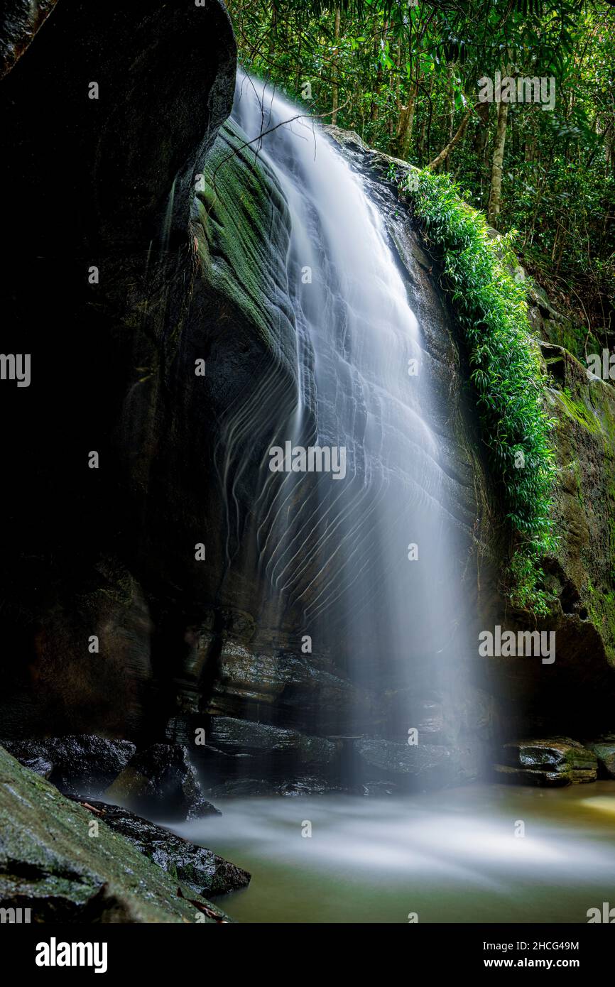 Buderim Falls, also known as Serenity Falls is a small waterfall on the ...