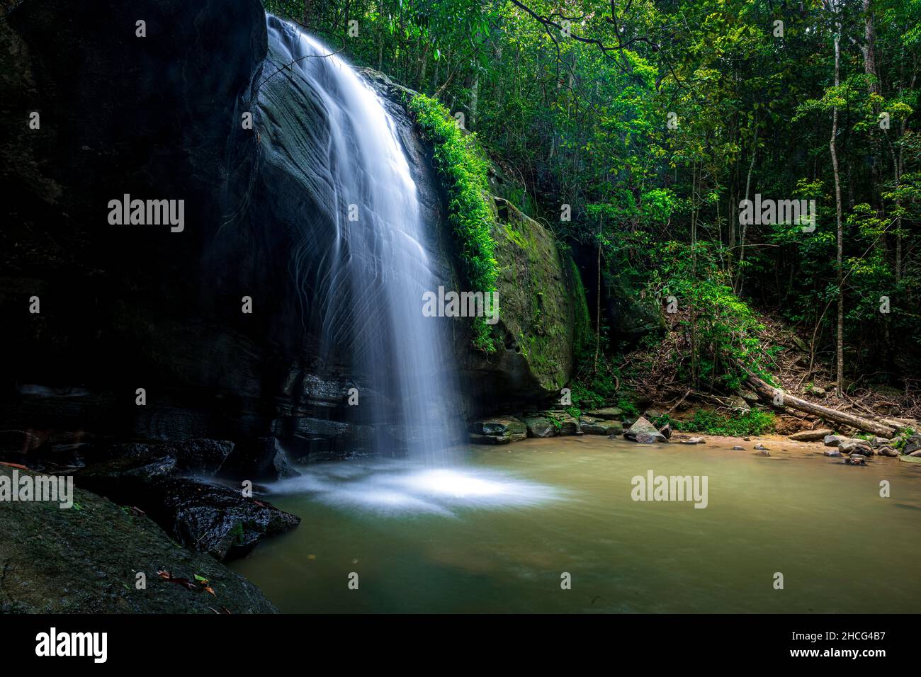 Buderim Falls, also known as Serenity Falls is a small waterfall on the ...