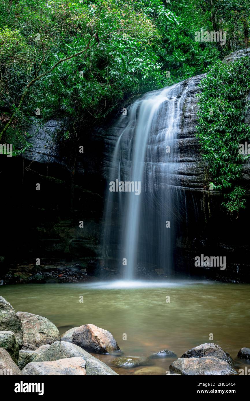 Buderim Falls, also known as Serenity Falls is a small waterfall on the ...