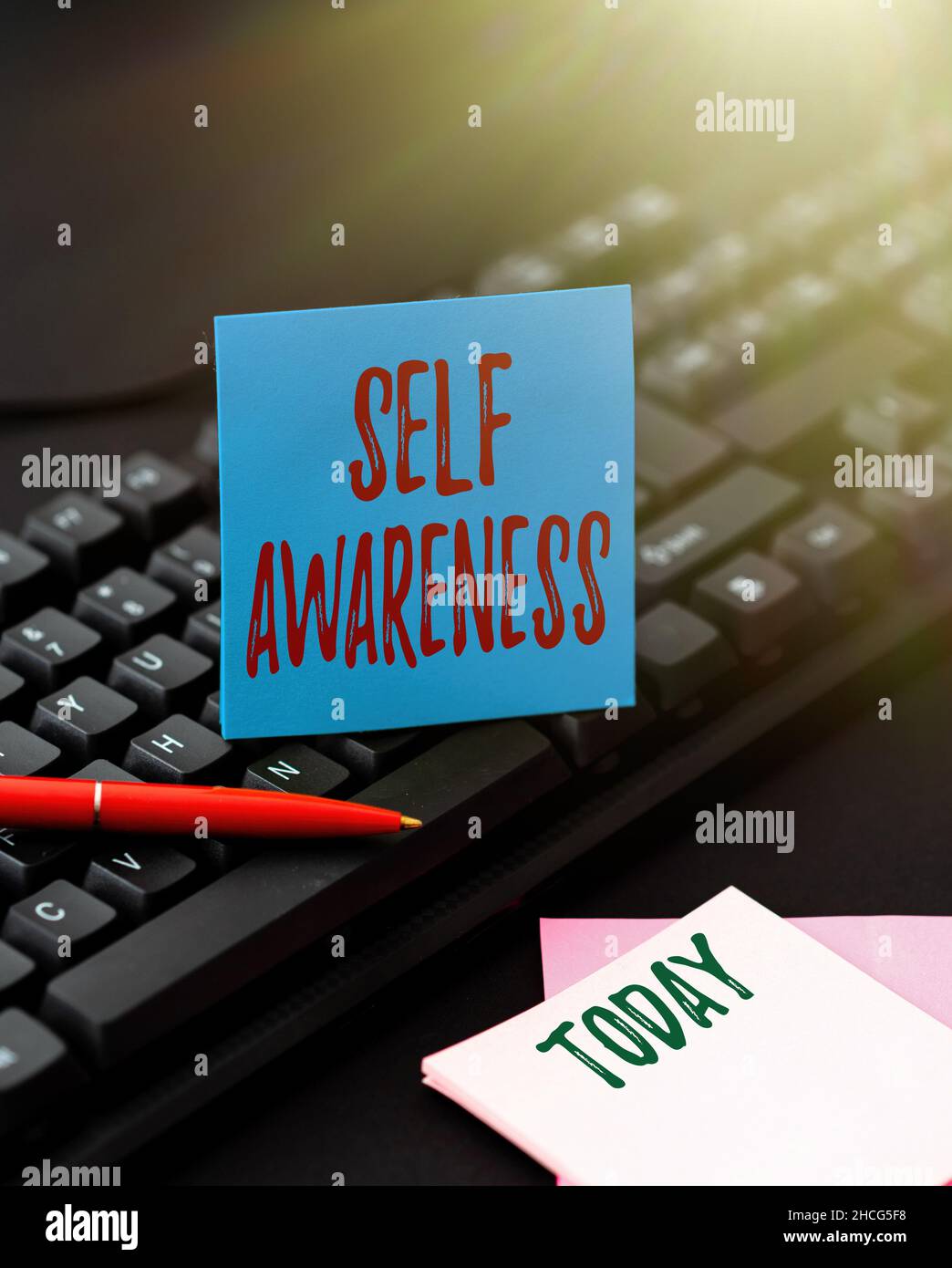 Sign displaying Self Awareness. Concept meaning Consciousness of a ...