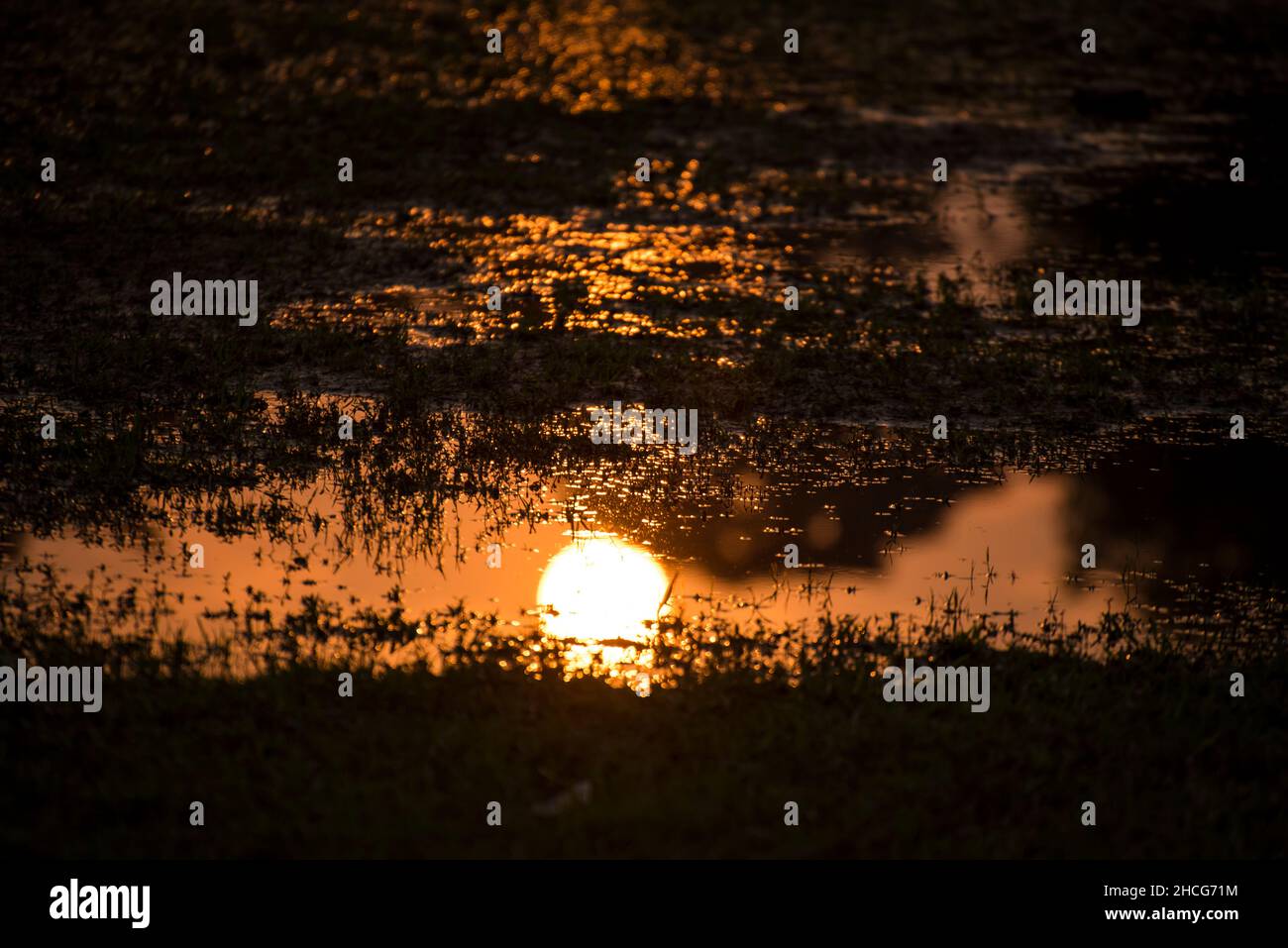 Beautiful sunset against crimson sky reflation on water Stock Photo - Alamy