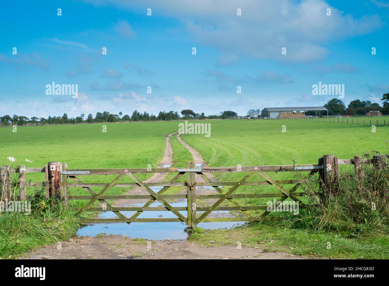 Farm Gate with track leading to isolated farm buildings Stock Photo - Alamy