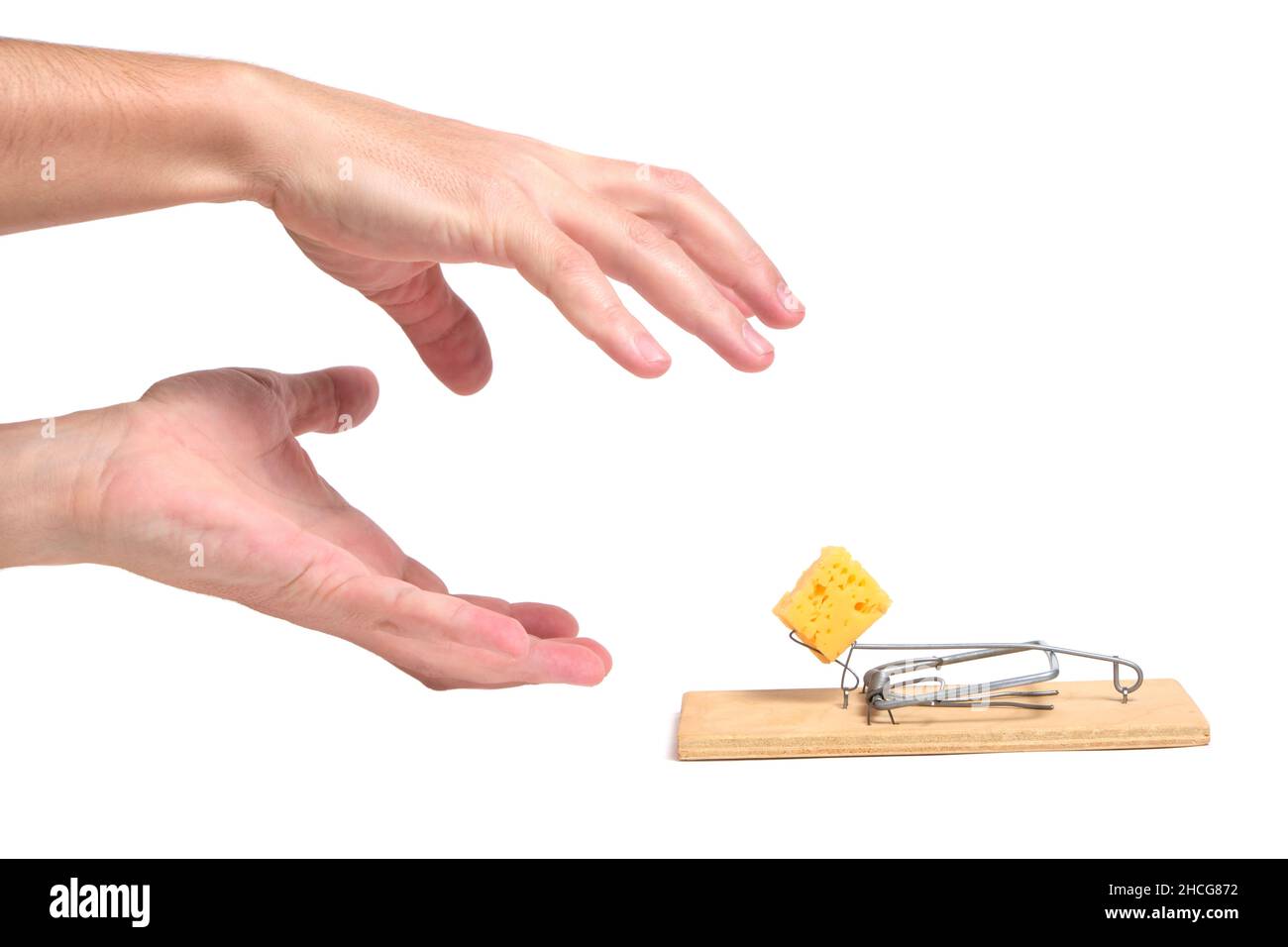Hands reaches for piece cheese in mousetrap on a white background ...