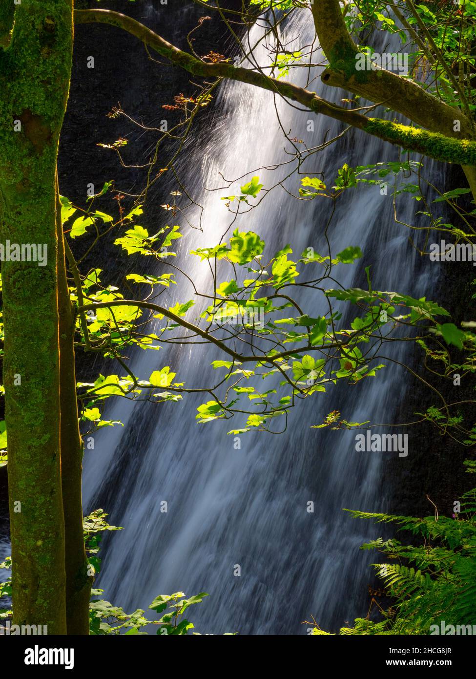 Gayle beck hi-res stock photography and images - Alamy