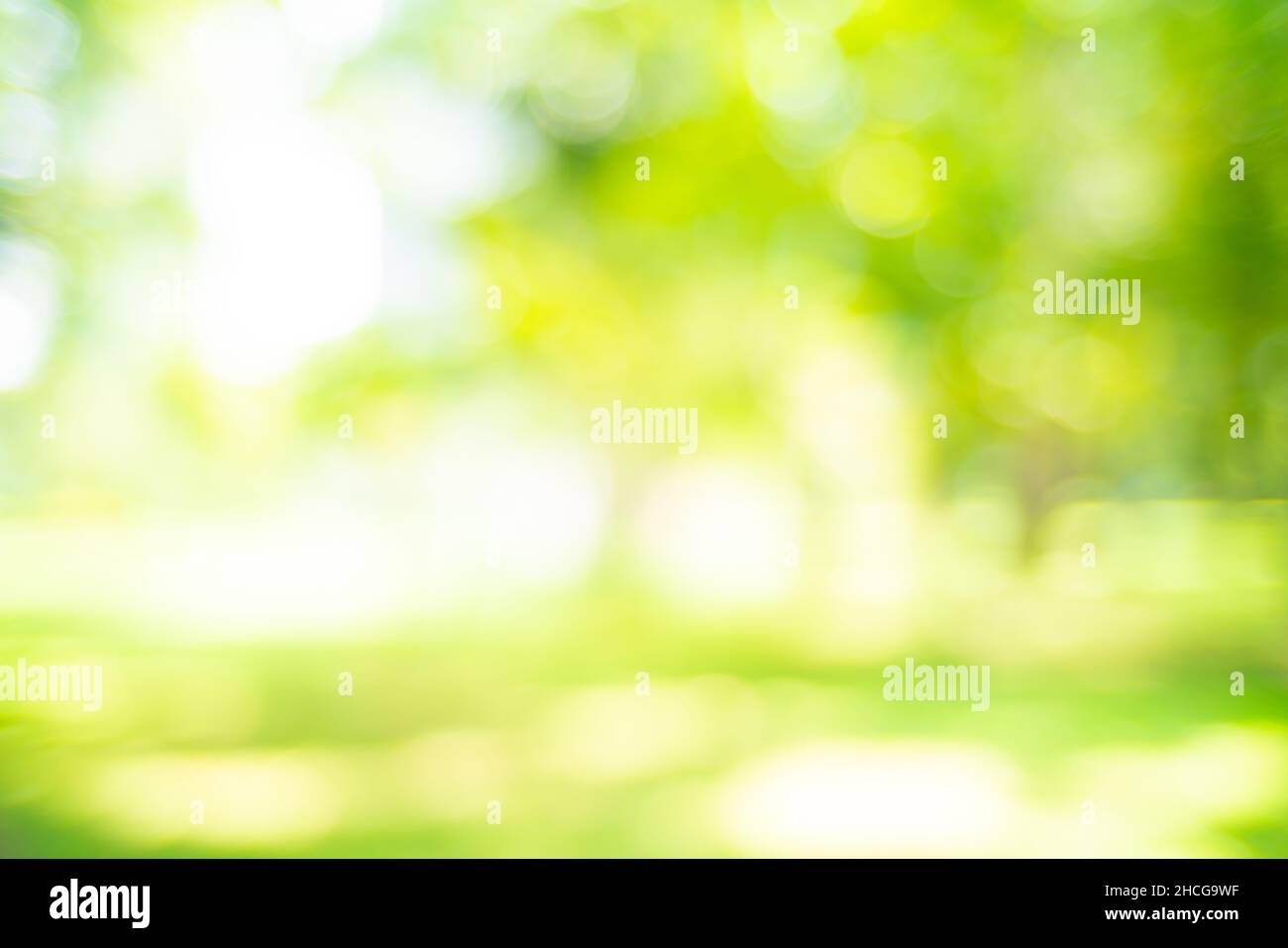Abstract blurred green park with sun light beam, Nature scene Stock ...
