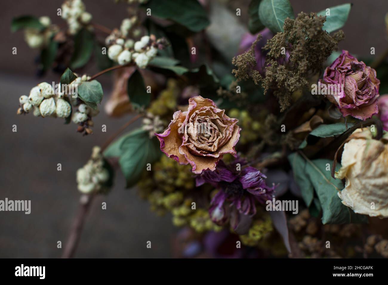 Withered wildflowers hi-res stock photography and images - Alamy
