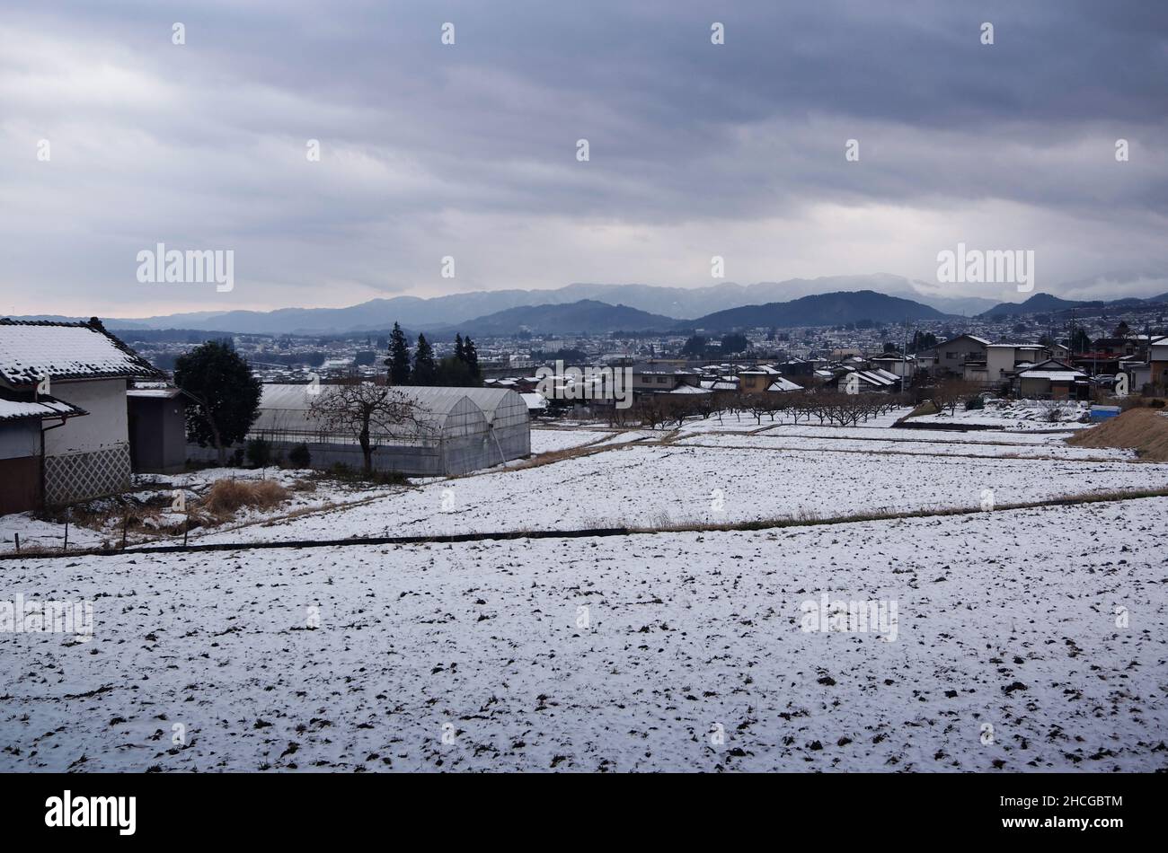 Iida Japan Model Homes