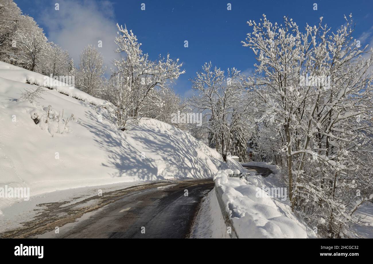 road crossing alpine forest covered with snow in european mountain ...