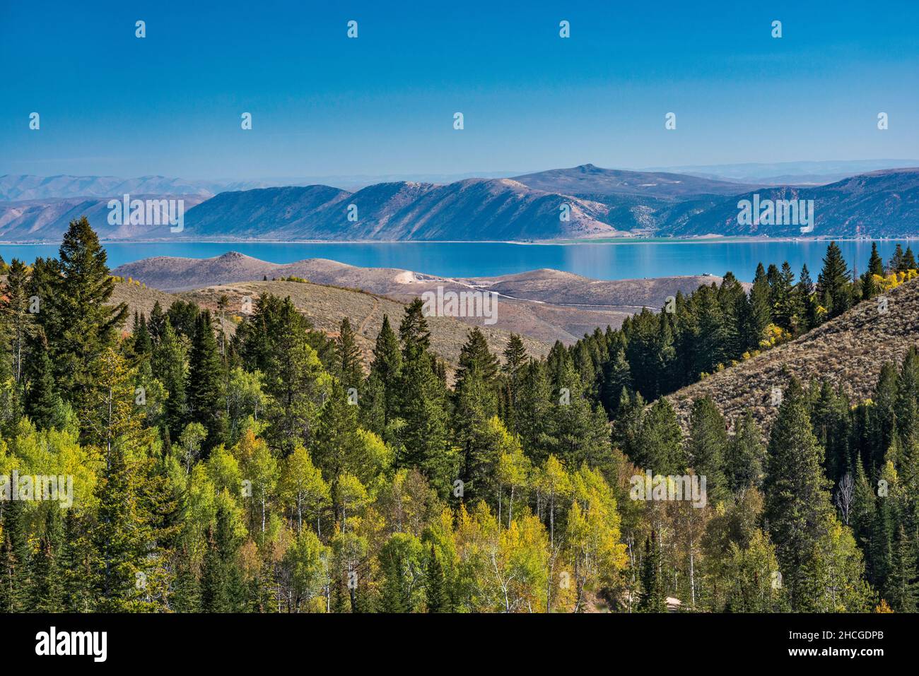 Uinta wasatch cache national forest hi-res stock photography and images ...