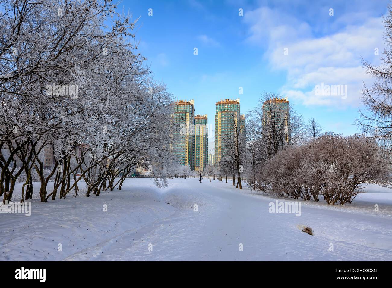 Park on the banks of the Neva River in Rybatskoye St. Petersburg ...