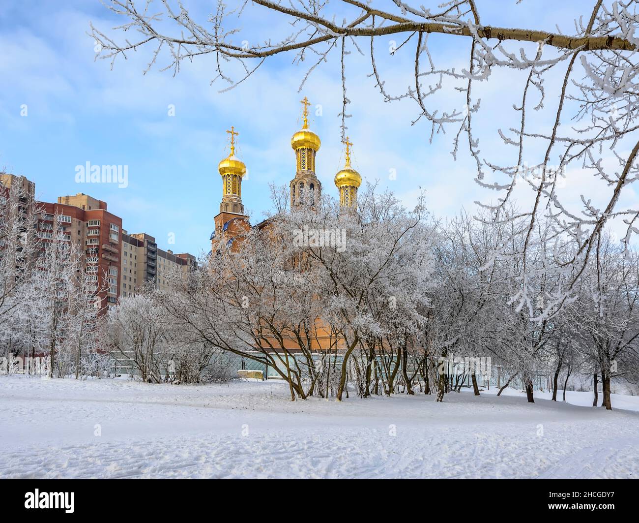 Park on the banks of the Neva River in Rybatskoye St. Petersburg ...