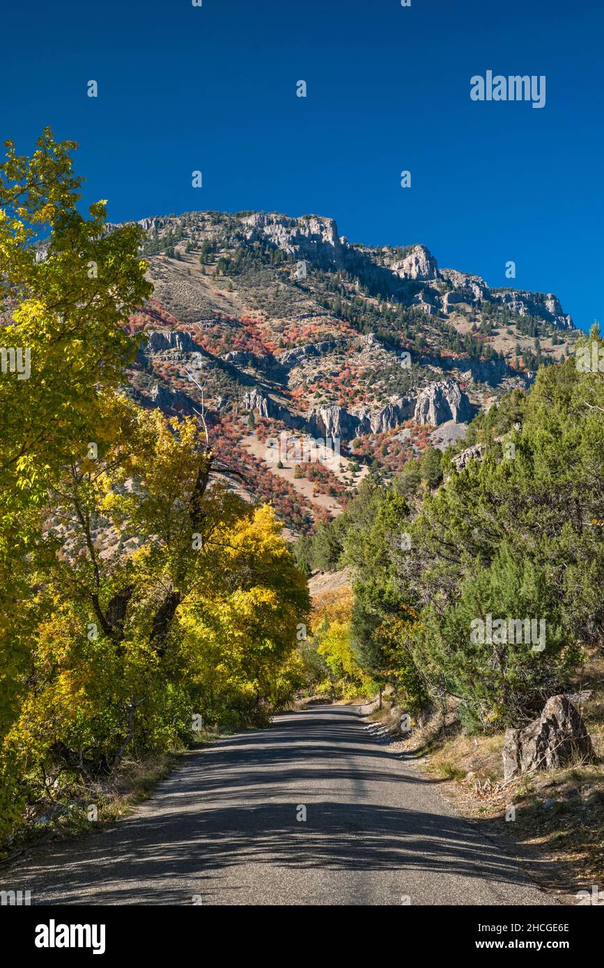 Hand and fork hi-res stock photography and images - Alamy