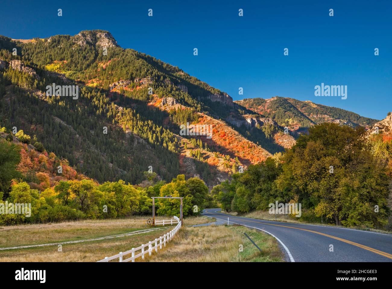 Uinta wasatch cache national forest hi-res stock photography and images ...
