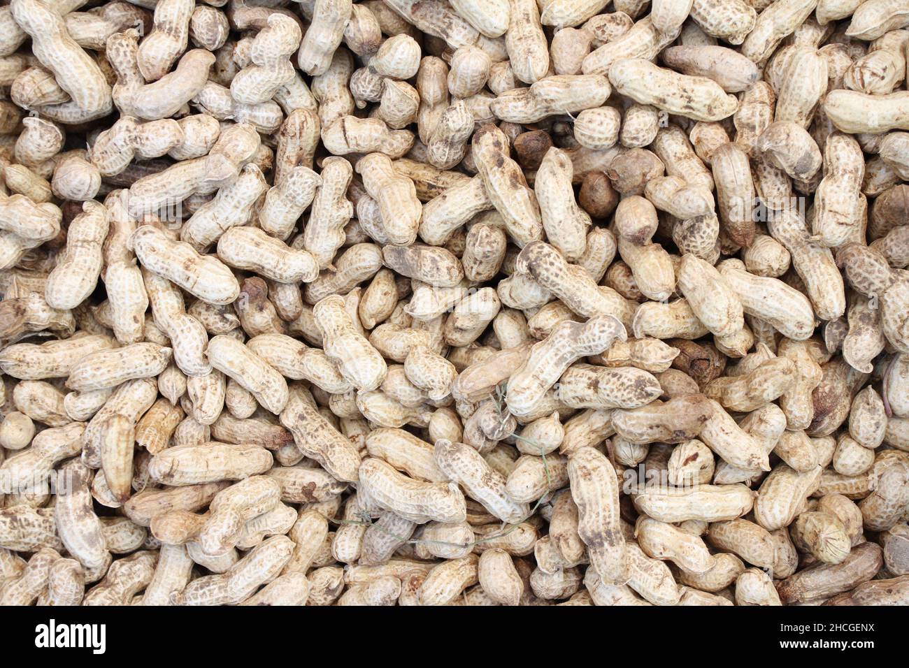 Plenty of peanuts hi-res stock photography and images - Alamy