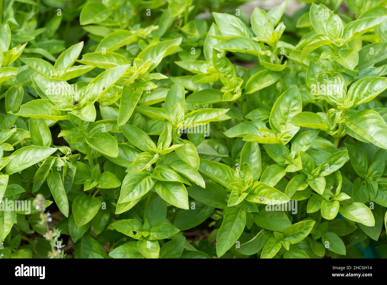 Concept self sufficiency hi-res stock photography and images - Alamy