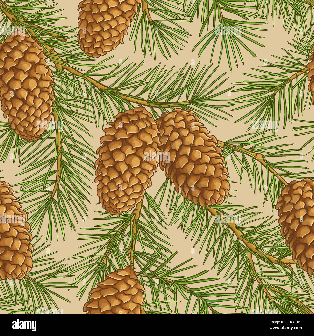 fir tree vector pattern on white background Stock Vector Image & Art ...