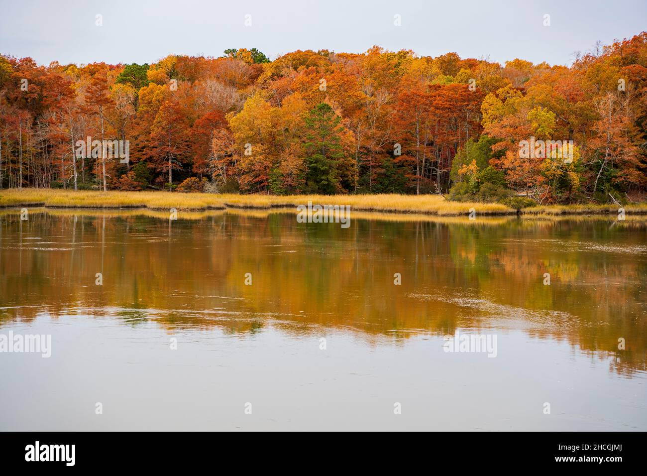 Landscape view of a lake and colorful fields in autumn Stock Photo - Alamy