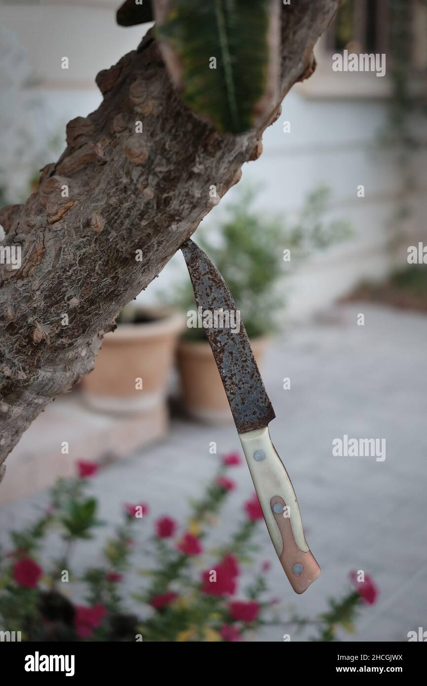 Stuck on a tree hi-res stock photography and images - Alamy