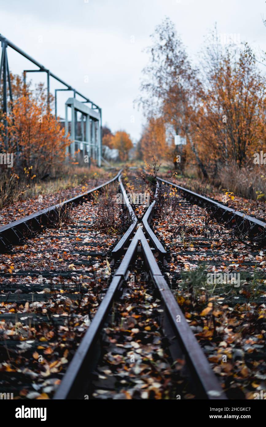 View of two railroads crossing; autumn in the countryside Stock Photo ...