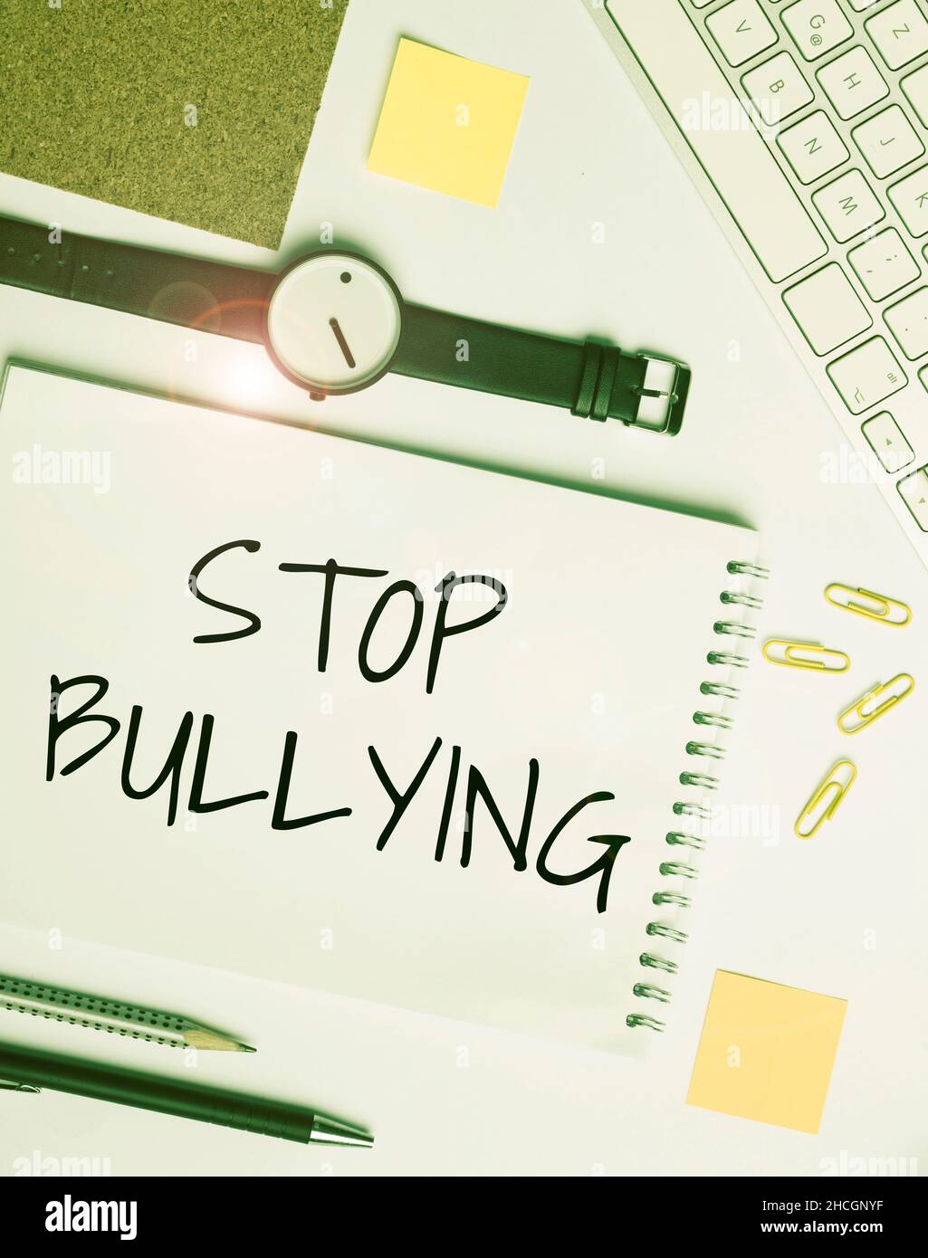 Conceptual caption Stop Bullying. Business overview Fight and Eliminate ... Conceptual caption Stop Bullying. Business overview Fight and Eliminate ...