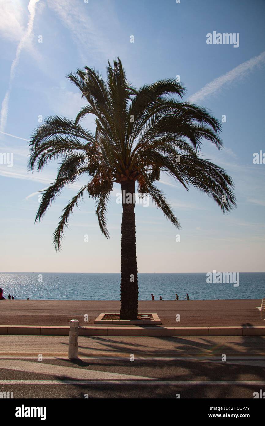 Boardwalk along beach in palm beach hi-res stock photography and images ...