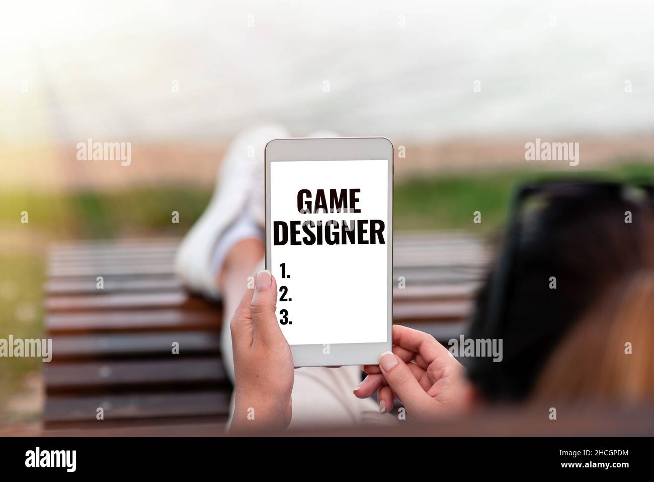 Conceptual caption Game Designer. Internet Concept Campaigner Pixel Scripting Programmers ...