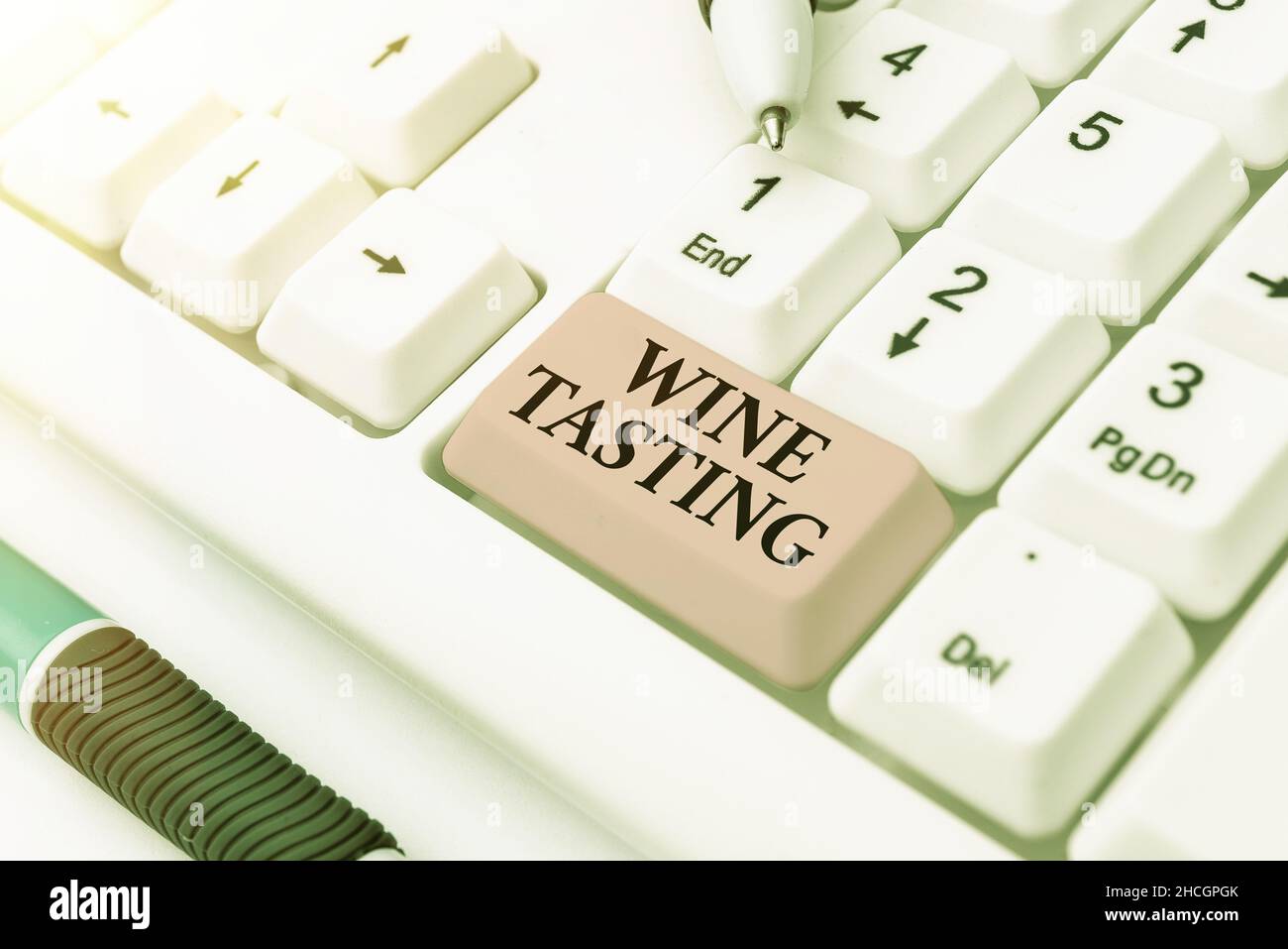 Text caption presenting Wine Tasting. Business concept Degustation Alcohol Social gathering ...