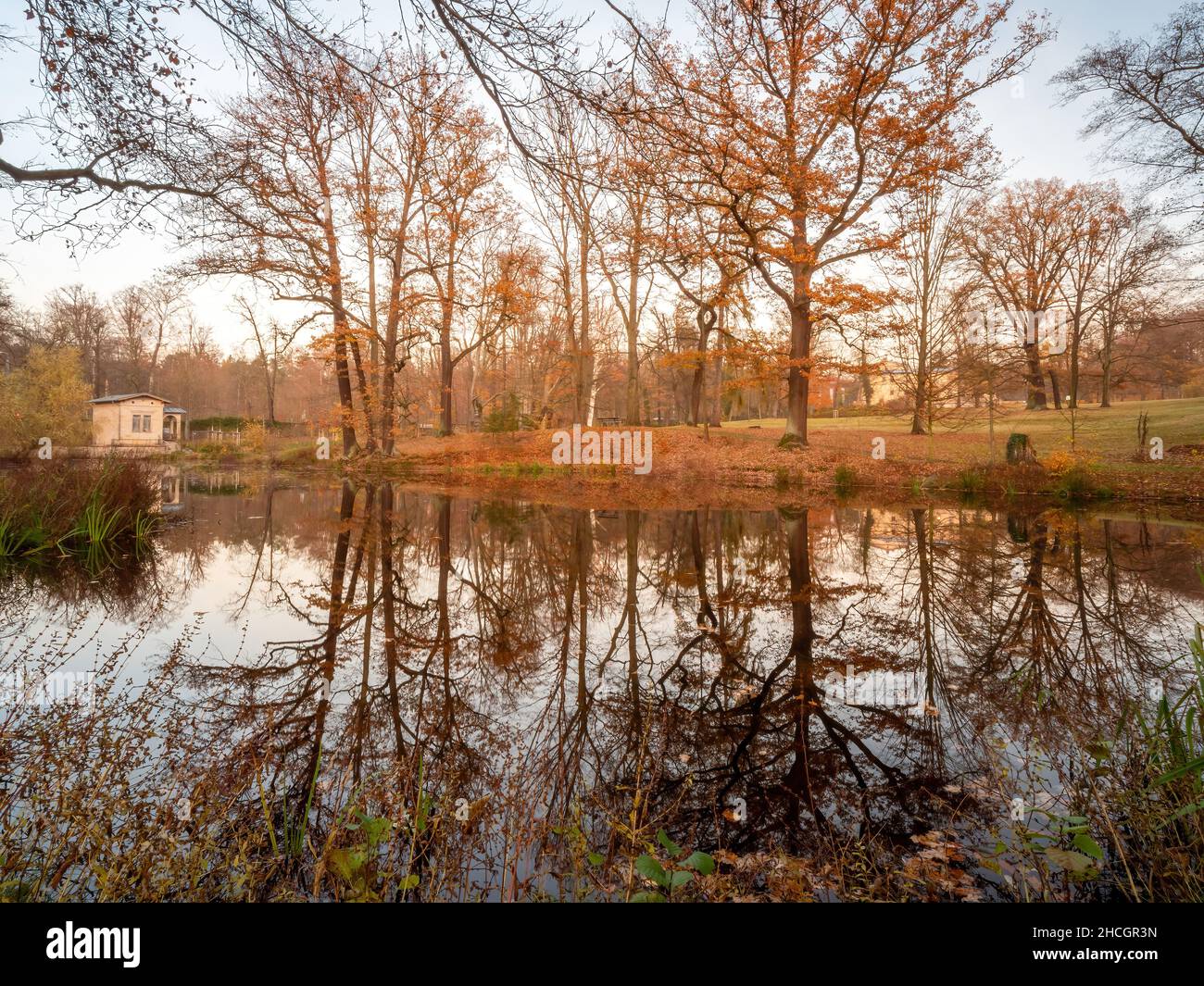Black Lake at Dresden during Fall Season Stock Photo - Alamy