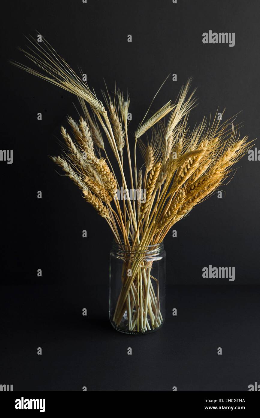 Bunch of wheat and barley in the glass vase on black background ...