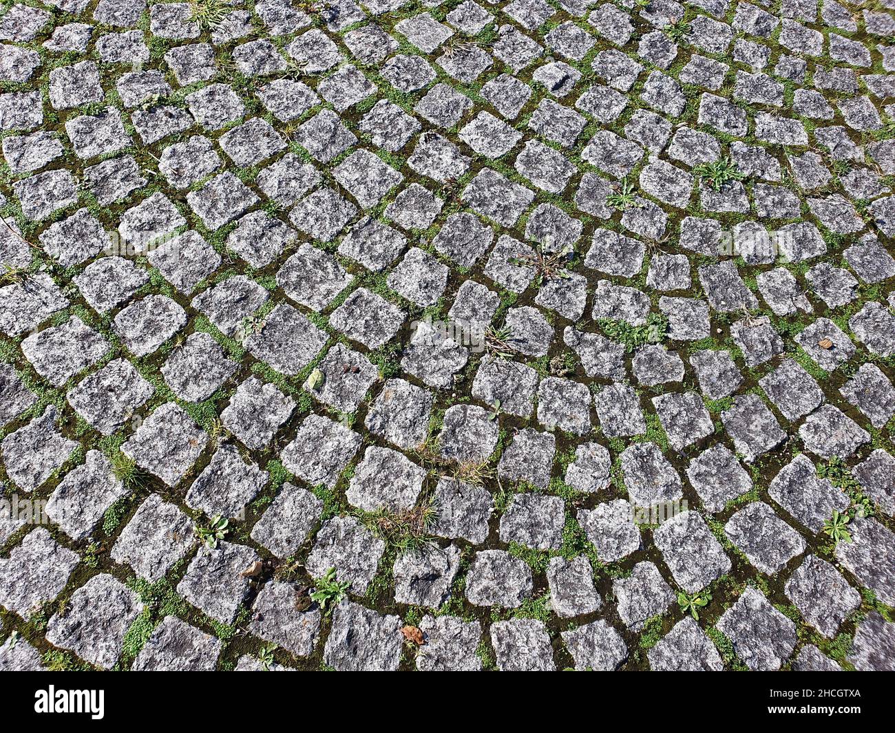 Cobbled stone background laid on a pathway with a rough circular brick ...