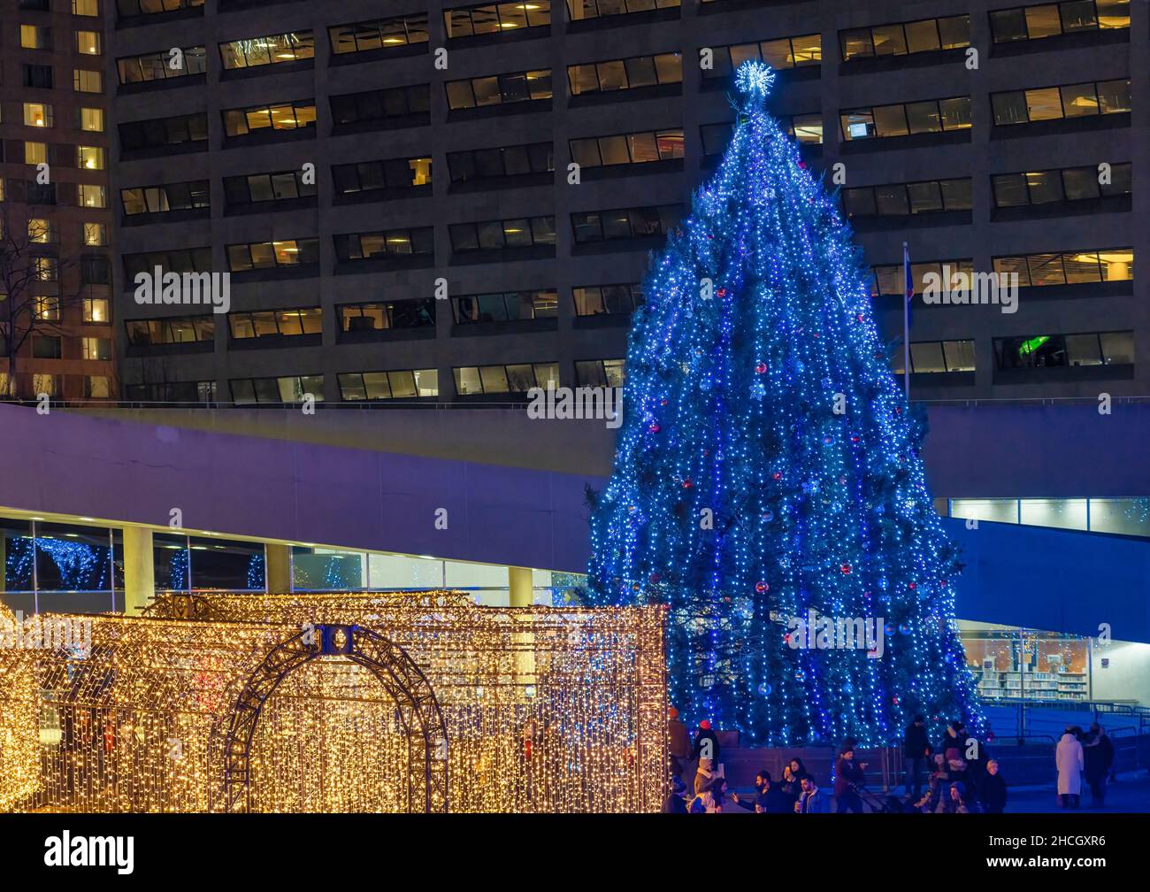 The large Christmas Tree with blue lights in Nathan Phillips Square ...