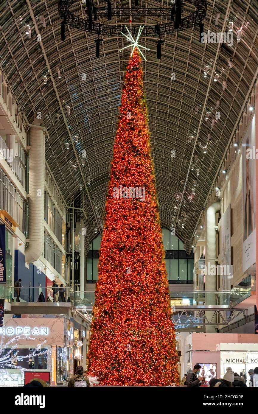 Christmas Tree Lights At Night