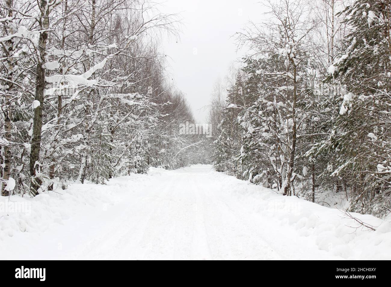 frozen winter landscape snowy forest Stock Photo - Alamy