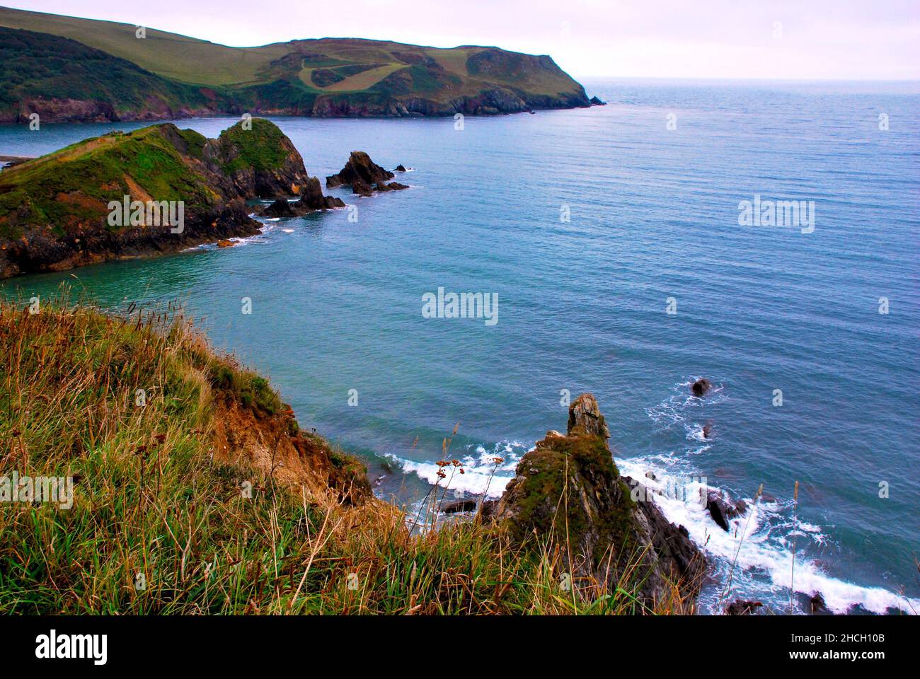 Hope cove in the summer hi-res stock photography and images - Alamy