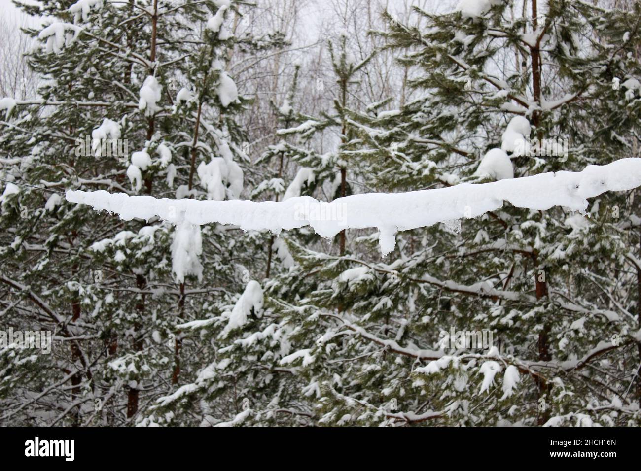 Frozen wires hi-res stock photography and images - Alamy