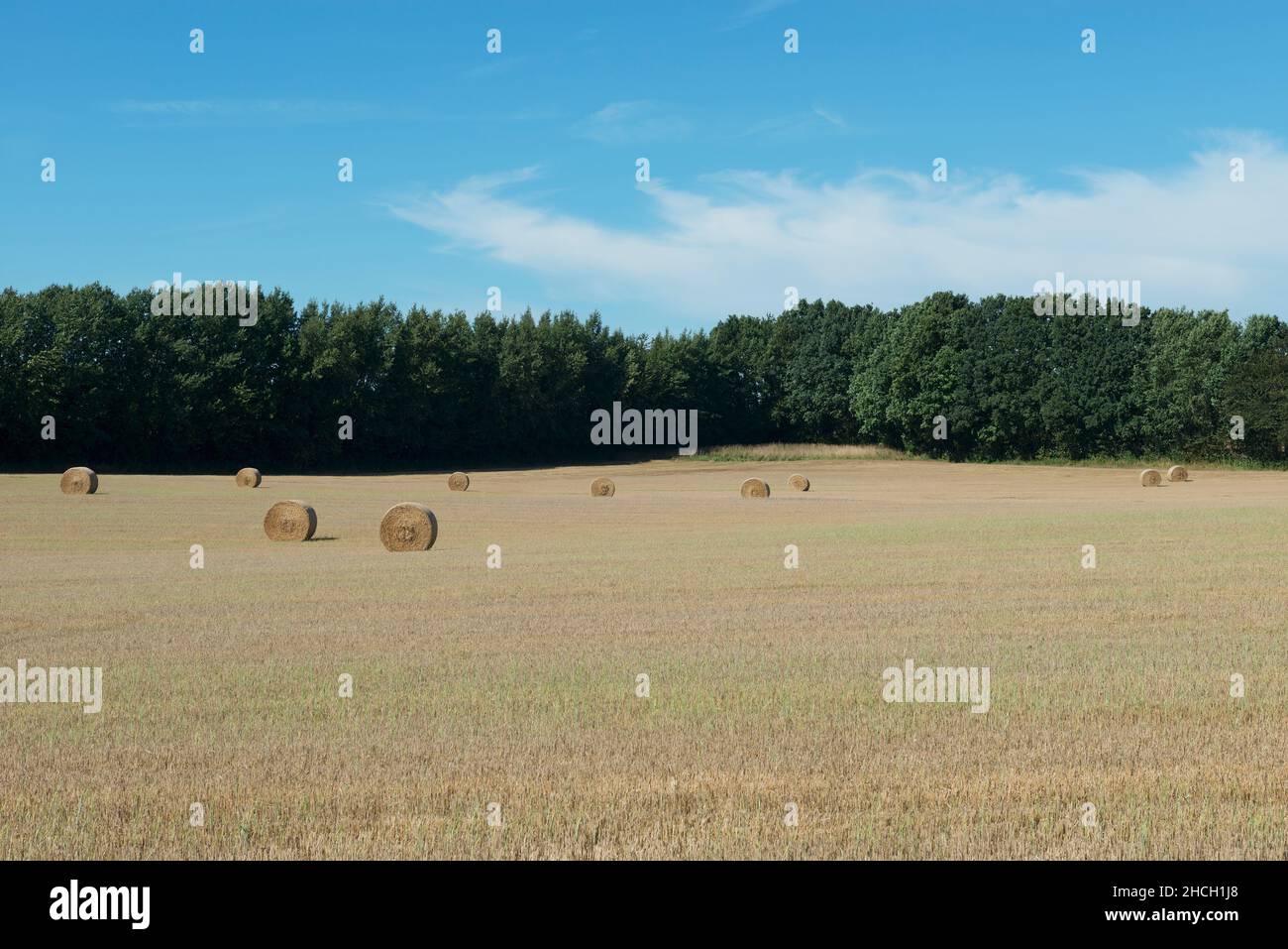 Hay rolls in field forest hi-res stock photography and images - Alamy