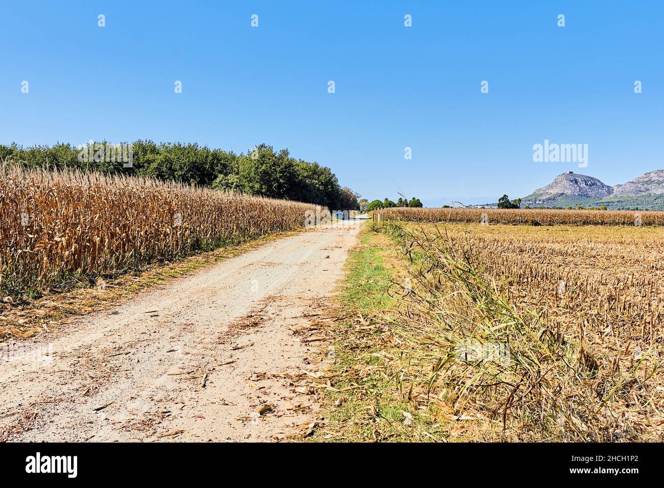 Agricultural landscape earth road hi-res stock photography and images ...