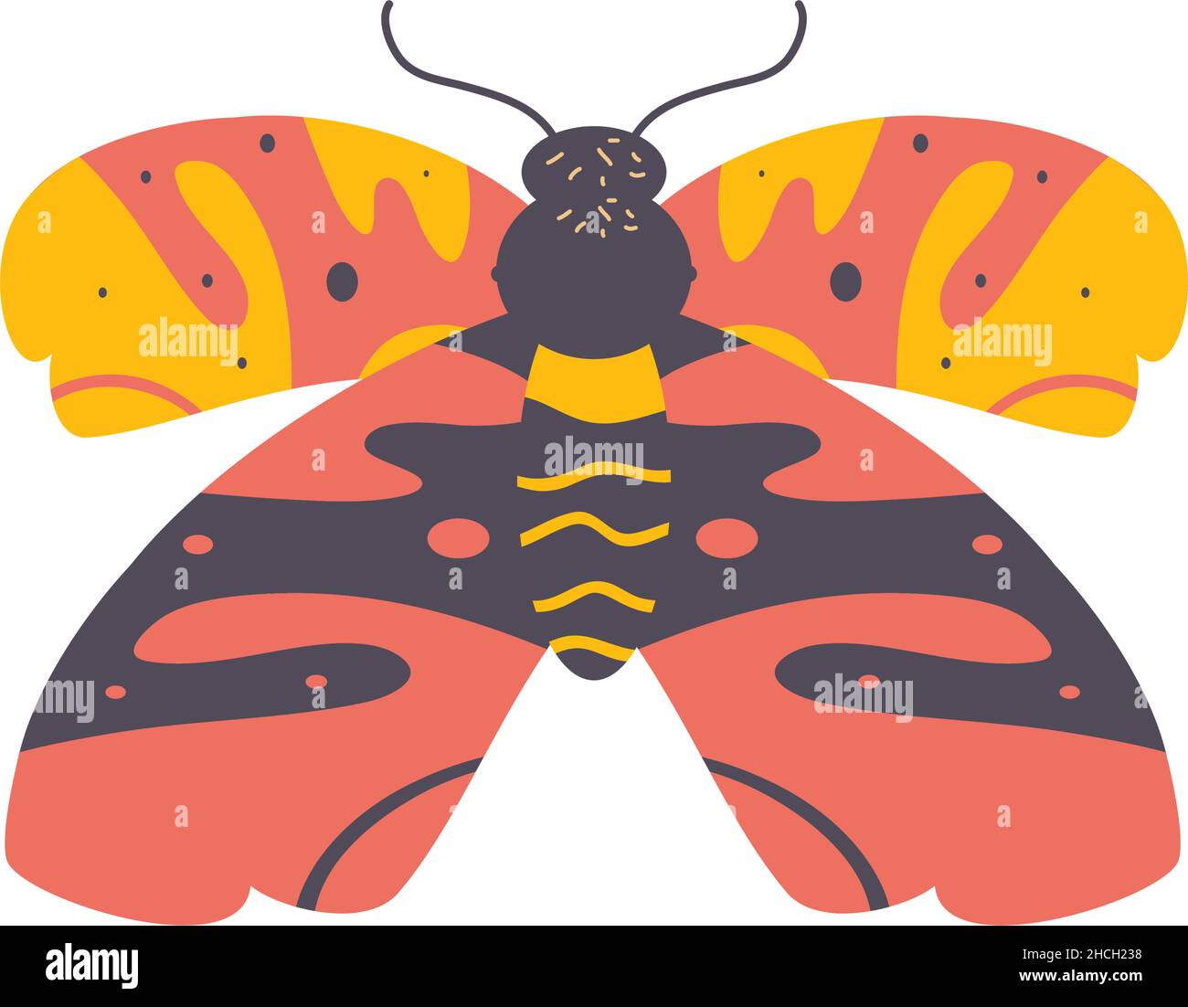 cute butterfly flat Stock Vector Image & Art - Alamy