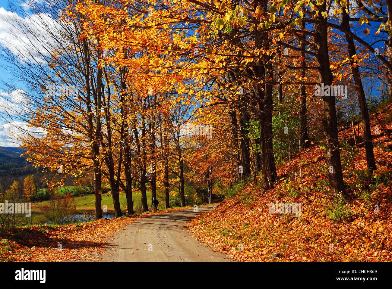 Autumn Country Road Stock Photo - Alamy