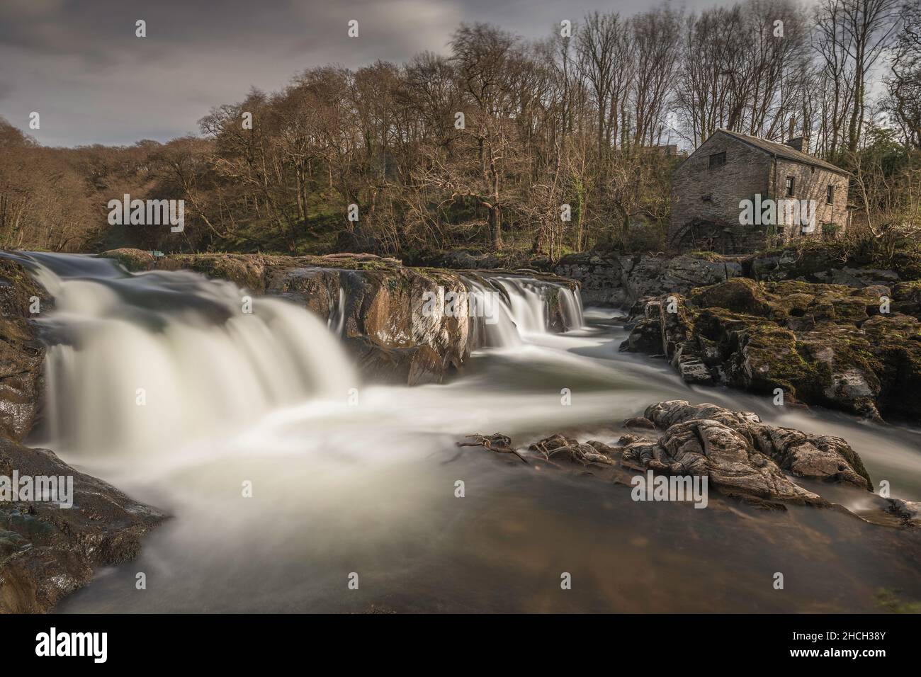 Cenarth Falls, Pembrokeshire. An autumn day, the waterfall is full ...