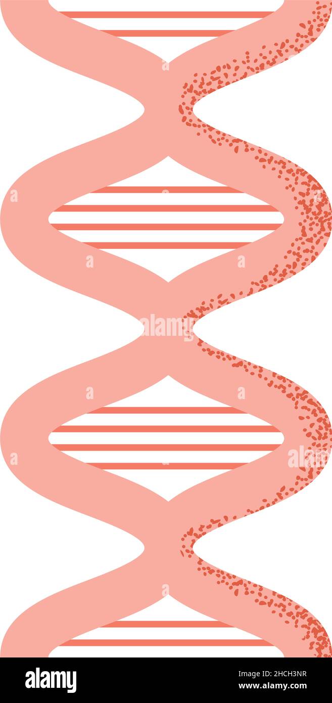 DNA structure icon Stock Vector Image & Art - Alamy