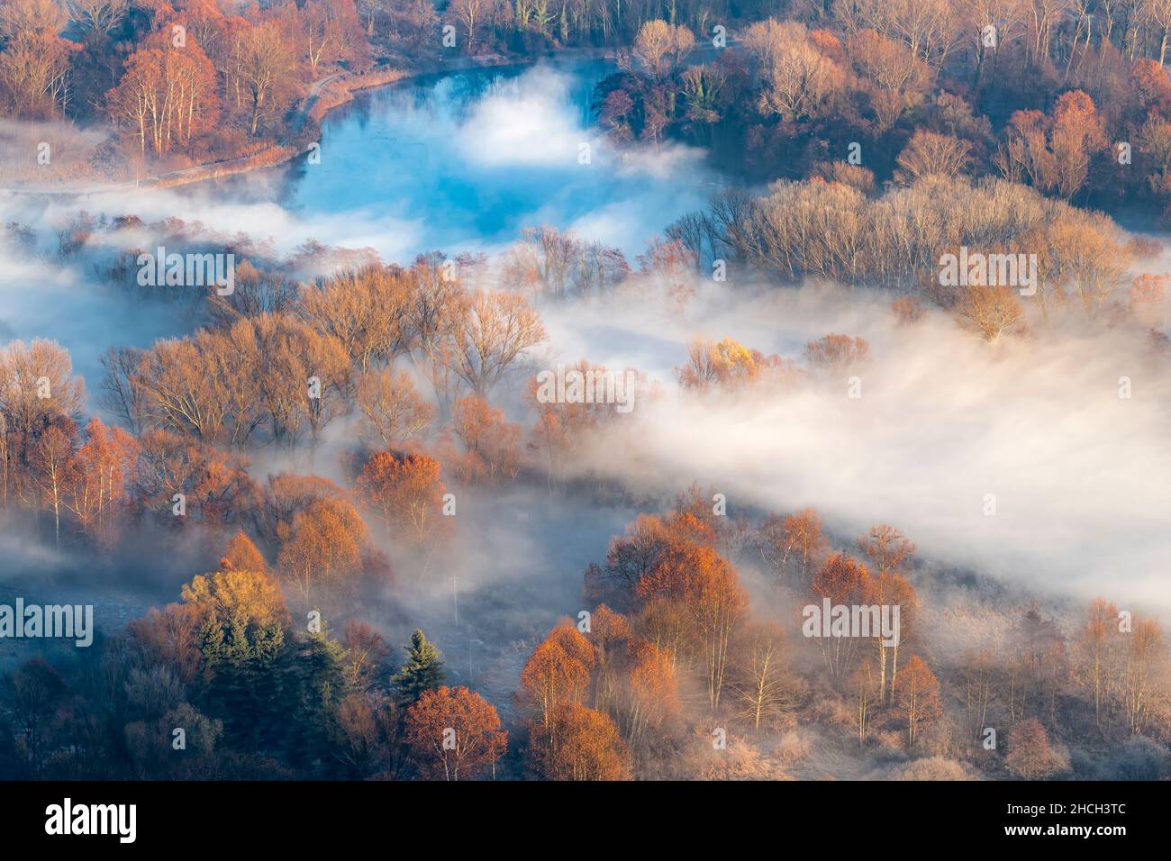 Fog steam over forest lake hi-res stock photography and images - Alamy