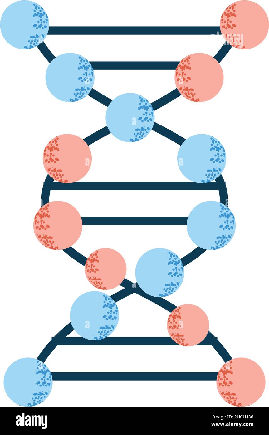 DNA molecule structure Stock Vector Image & Art - Alamy