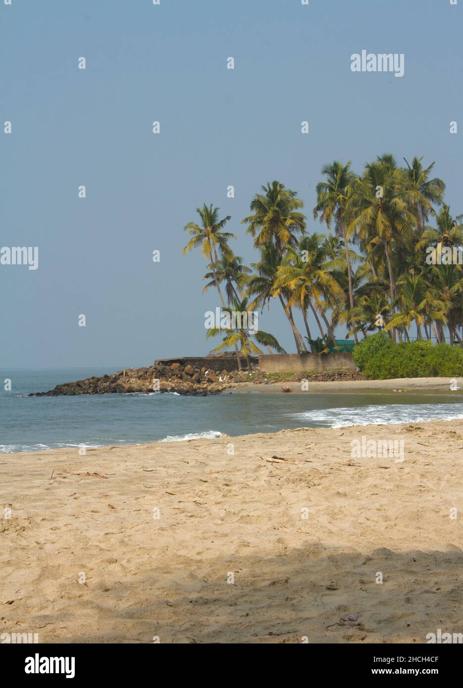 Coconut tree and rocks hi-res stock photography and images - Alamy