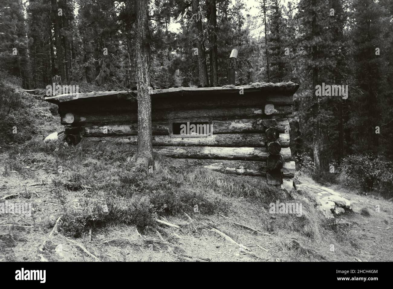 A black and white shot of a wooden forester hut in the deep of the ...