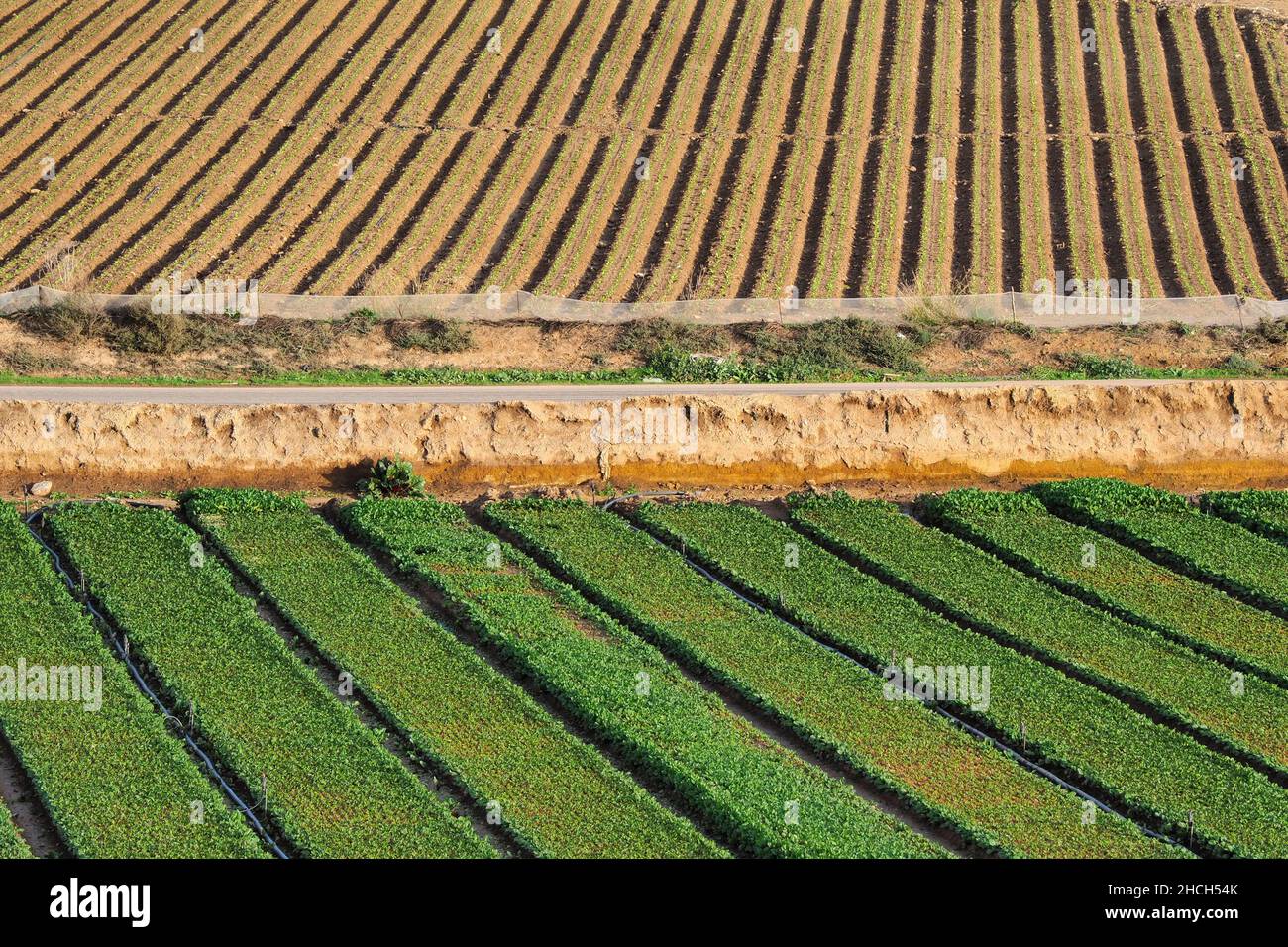 Graphic patterns of fields in agriculture Stock Photo - Alamy