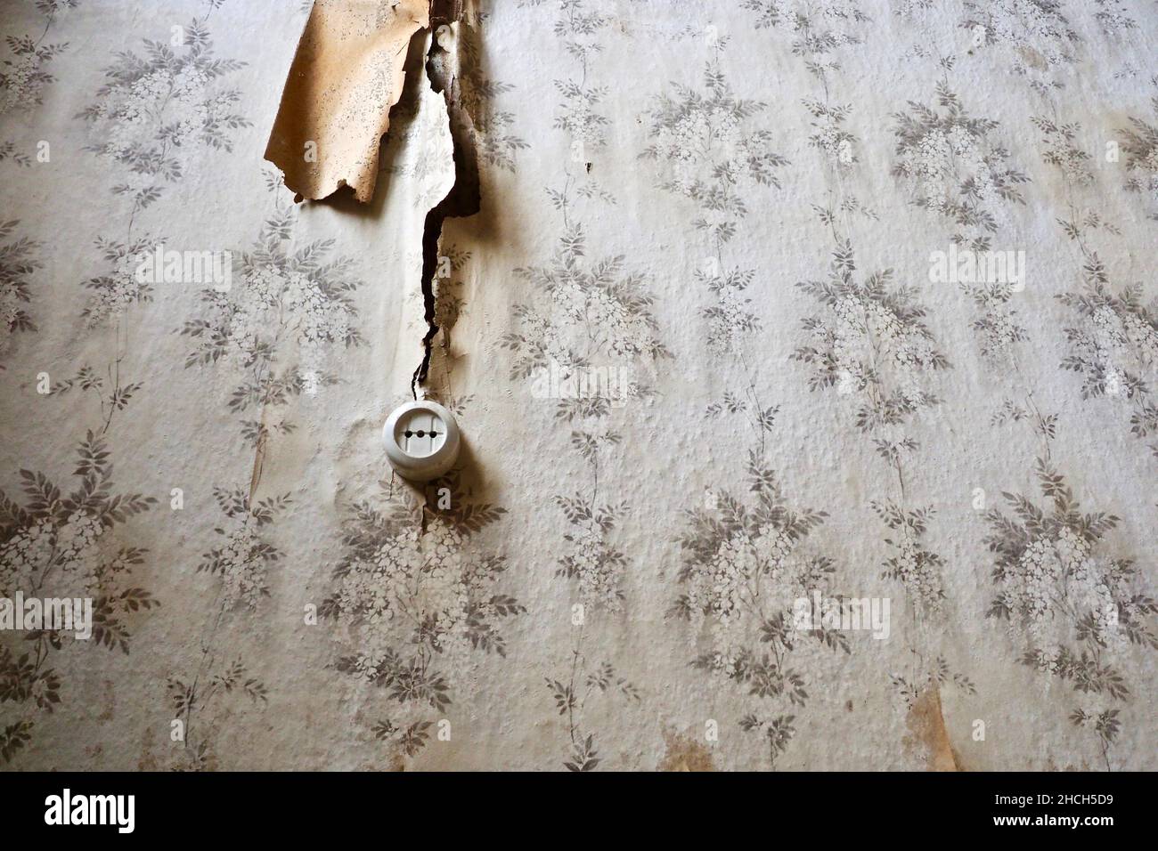 Dilapidated wall of wallpaper with floral pattern and old electrical ...