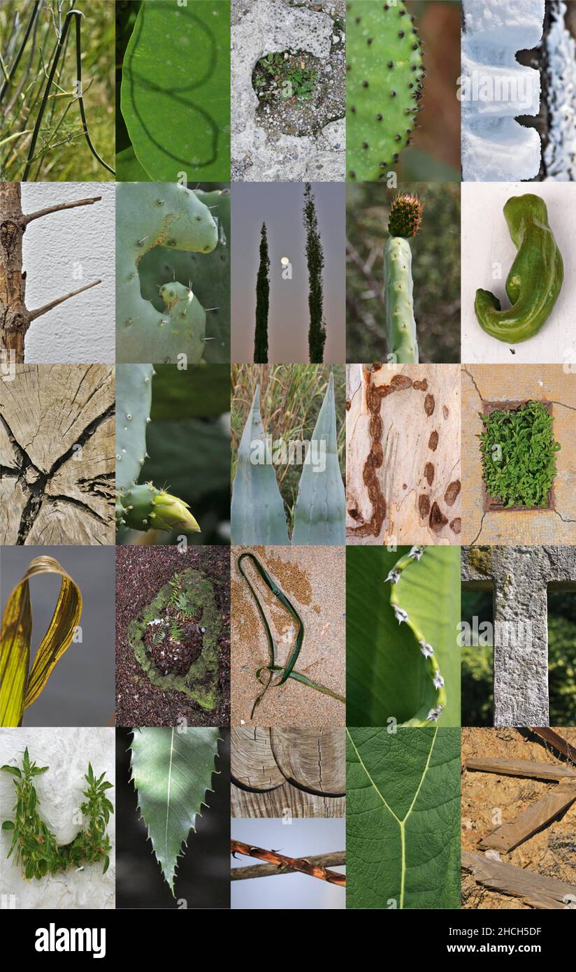 Alphabet Letters In Nature