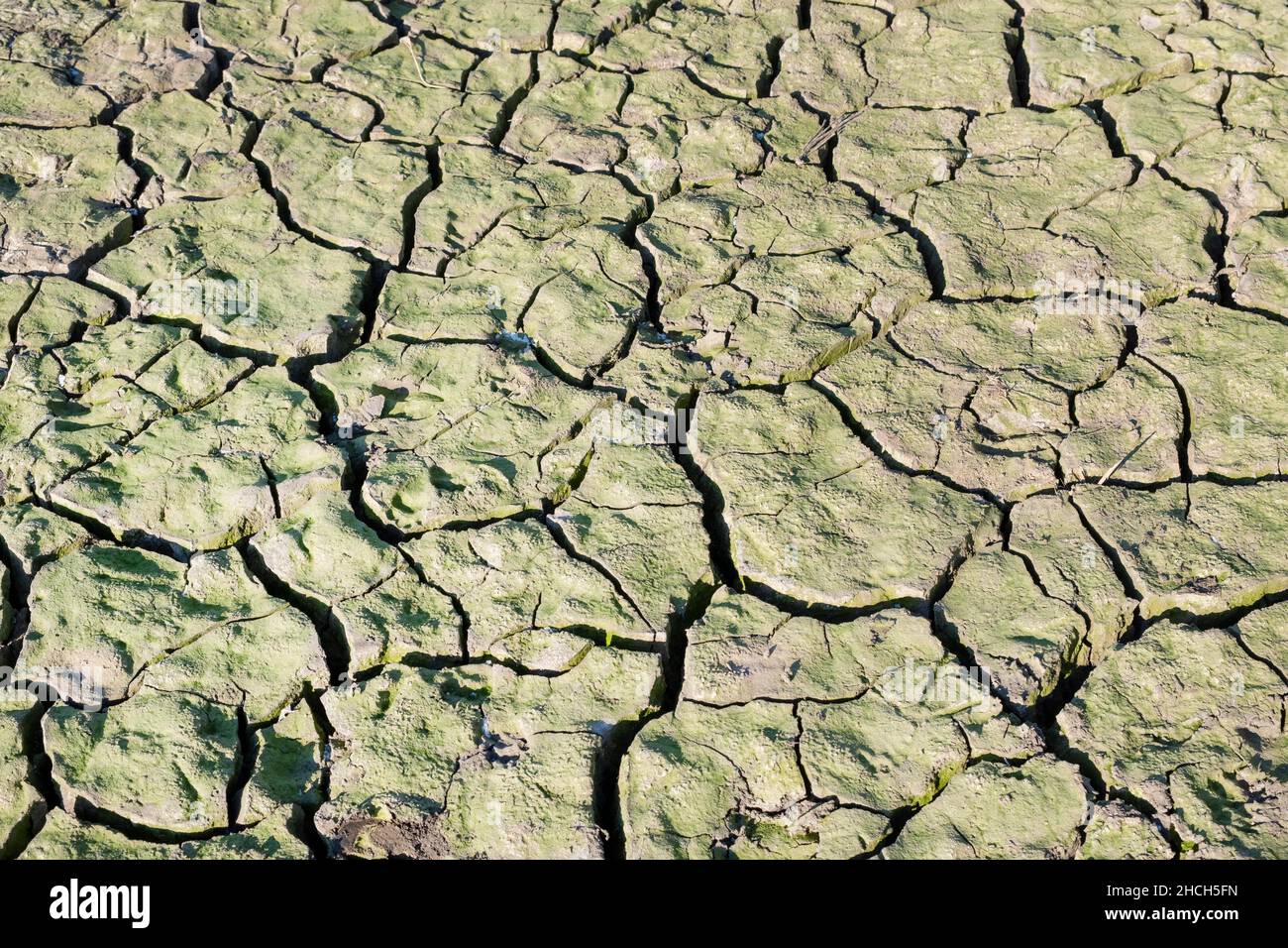 Dry river bed, Empty dry river bed with cracked ground, Global warming ...
